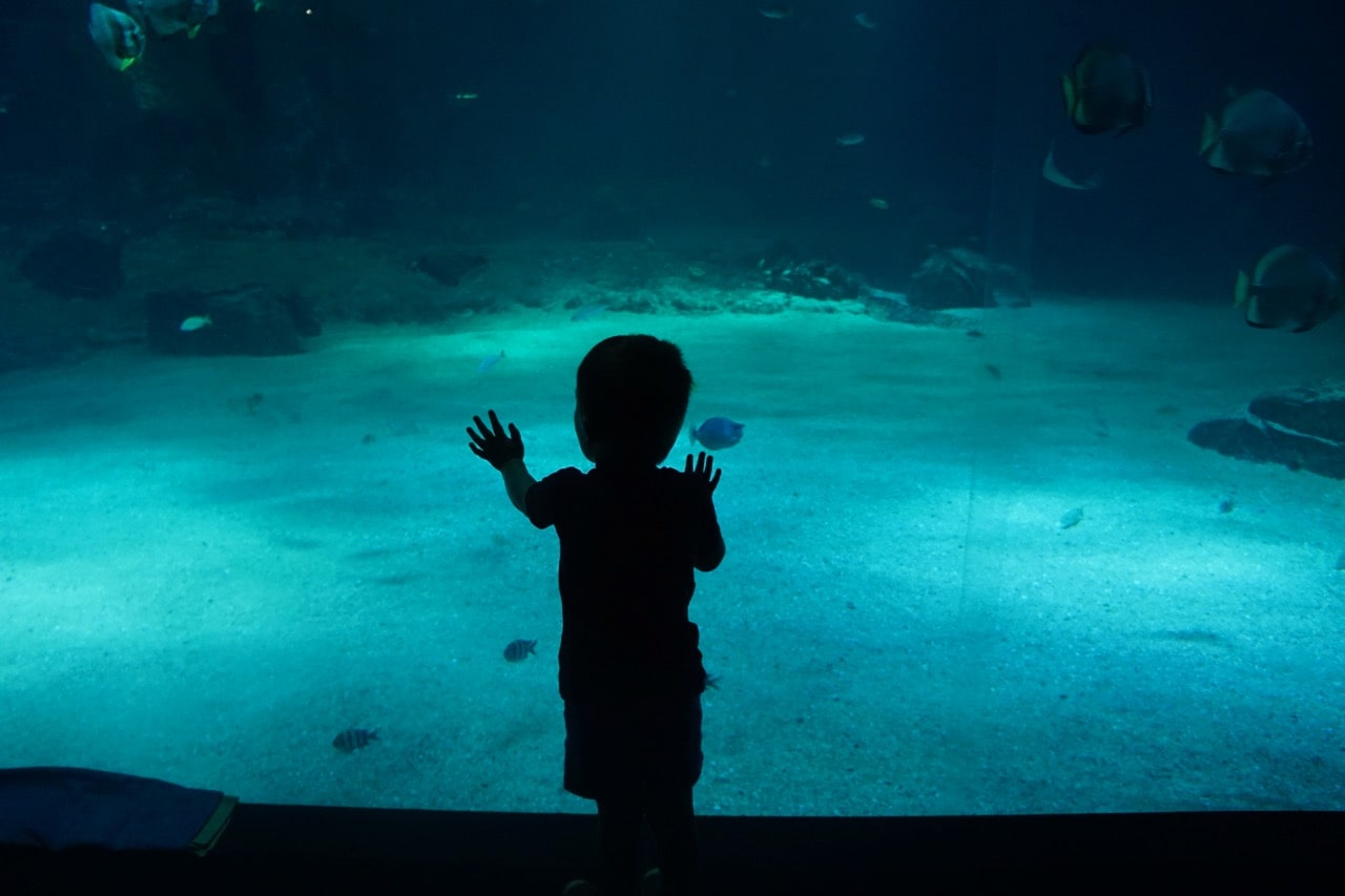 Verrijken kinderen je leven? Dit vind ik er van! - Miekids